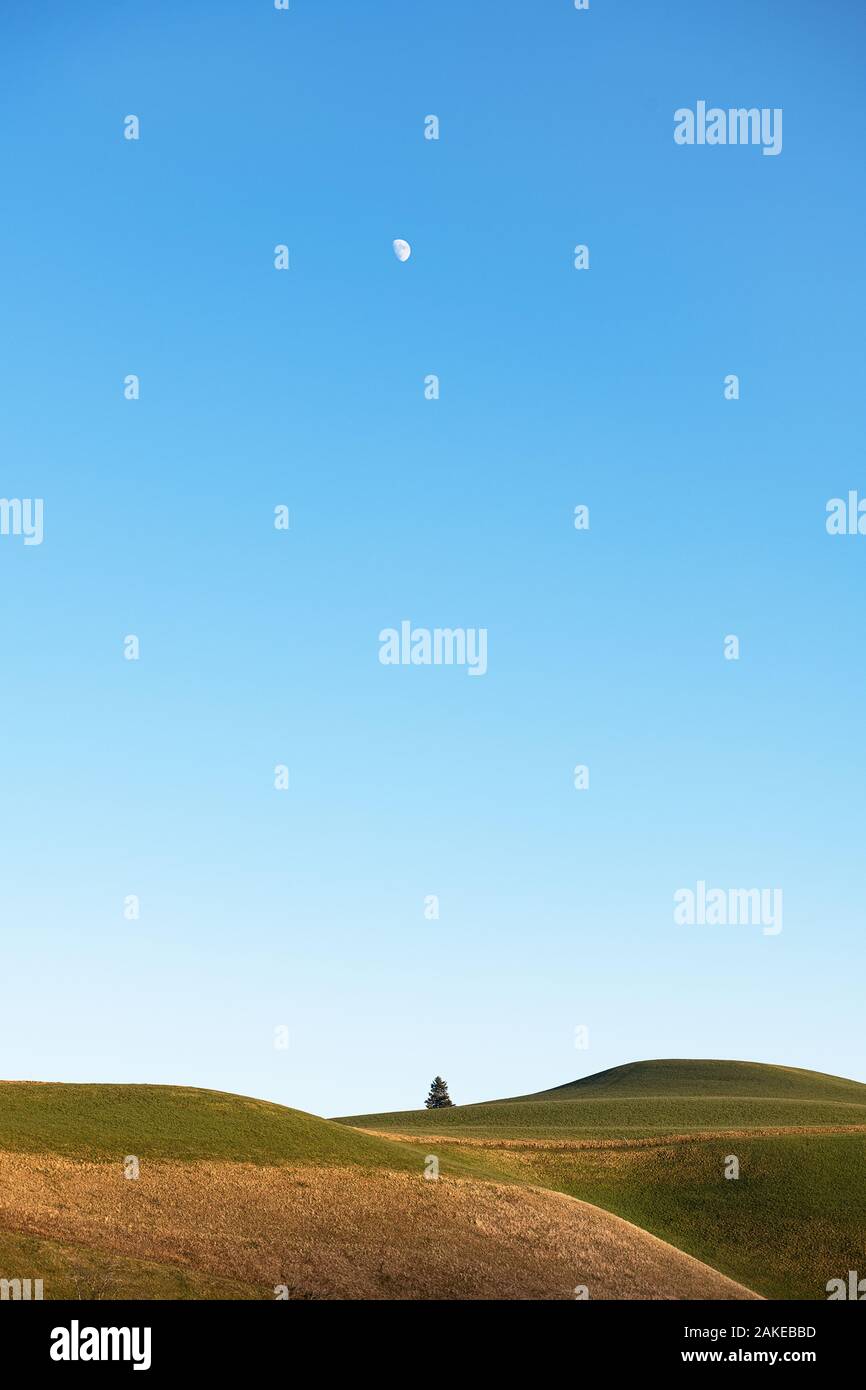 A winter landscape without snow in the Swiss Prealps with the rising ...