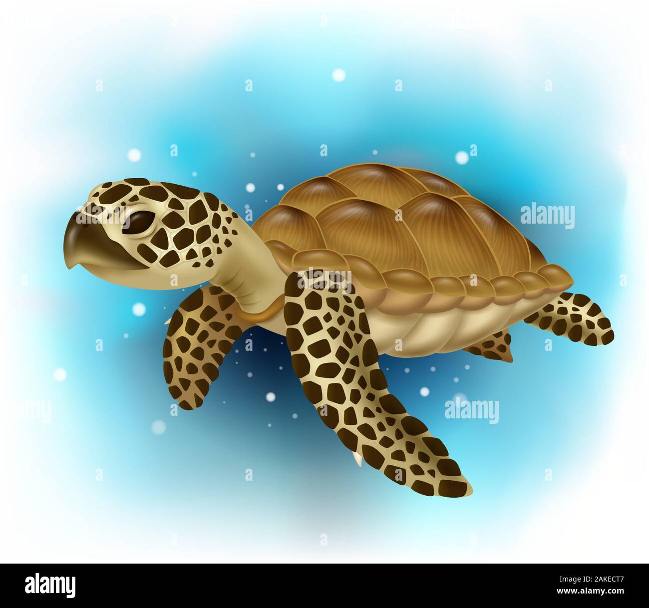 Cartoon sea turtle swimming in Stock Vector Images - Alamy