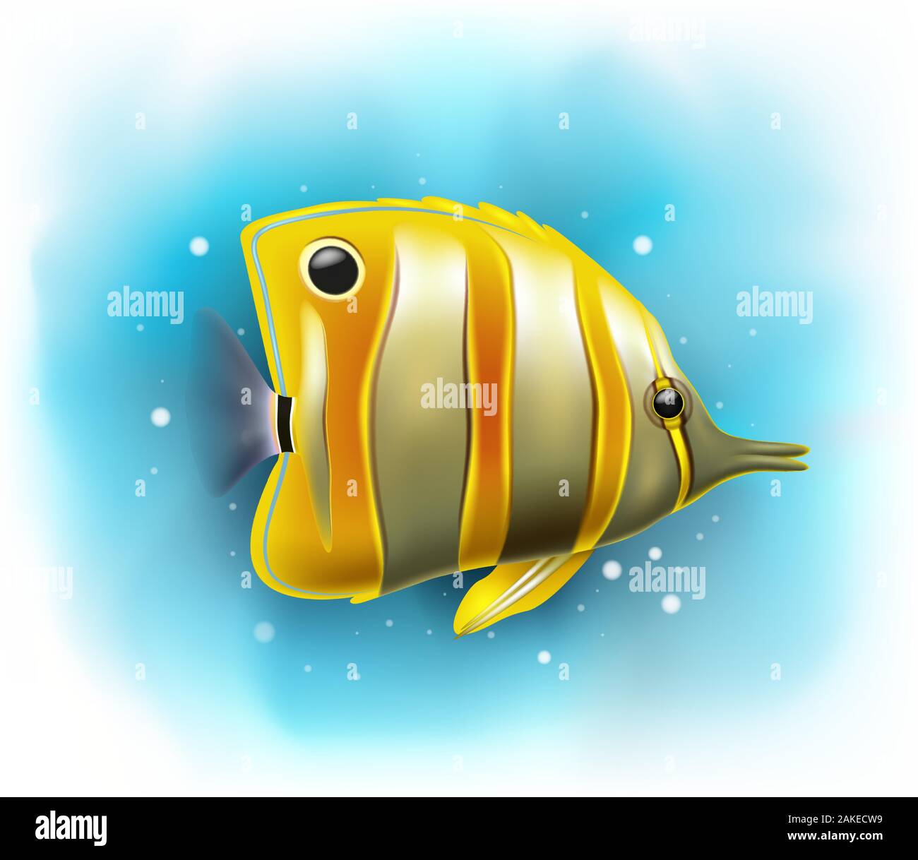 Cartoon copper banded butterfly fish Stock Vector Image & Art - Alamy