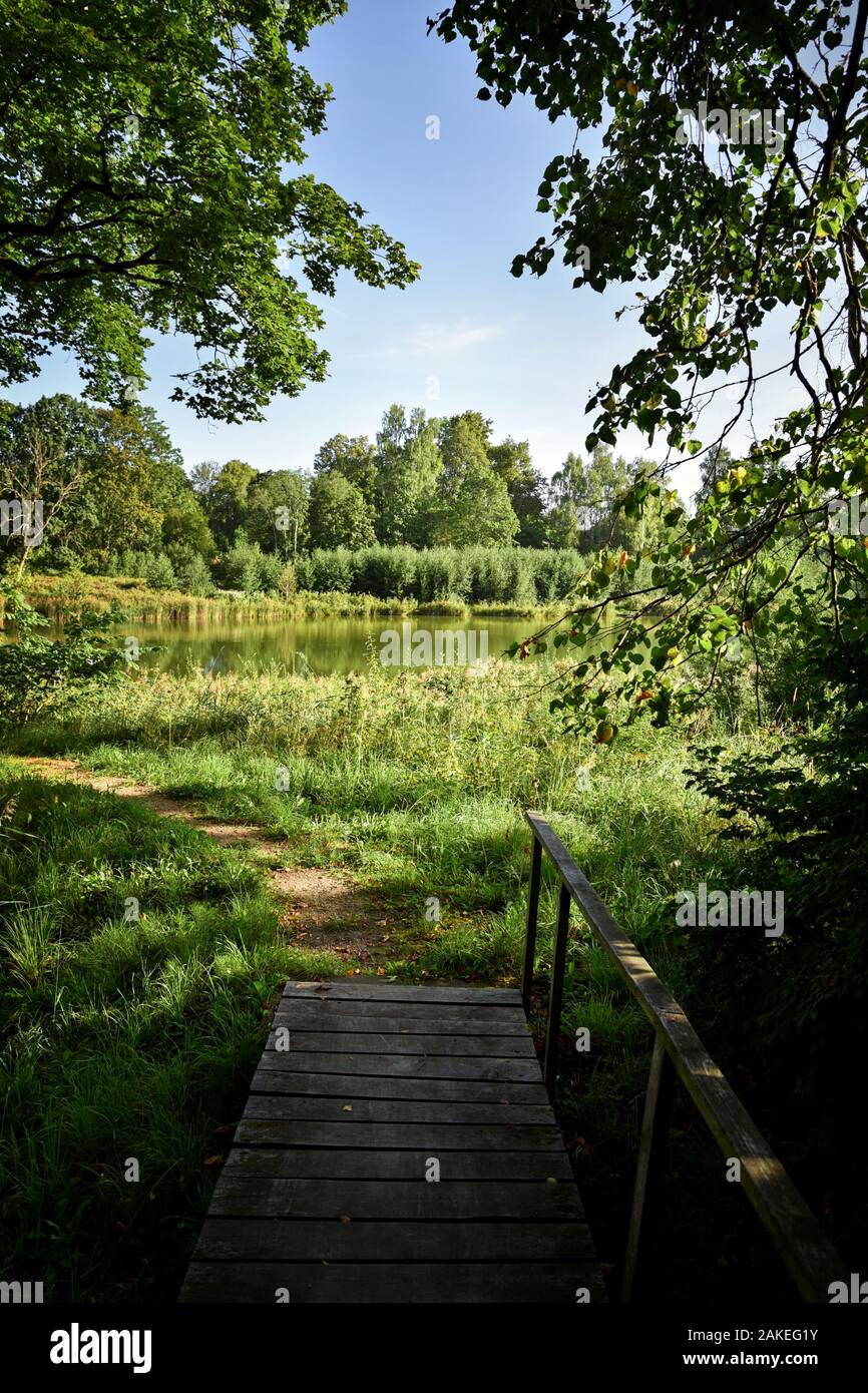 Wooden path to the lake Stock Photo - Alamy