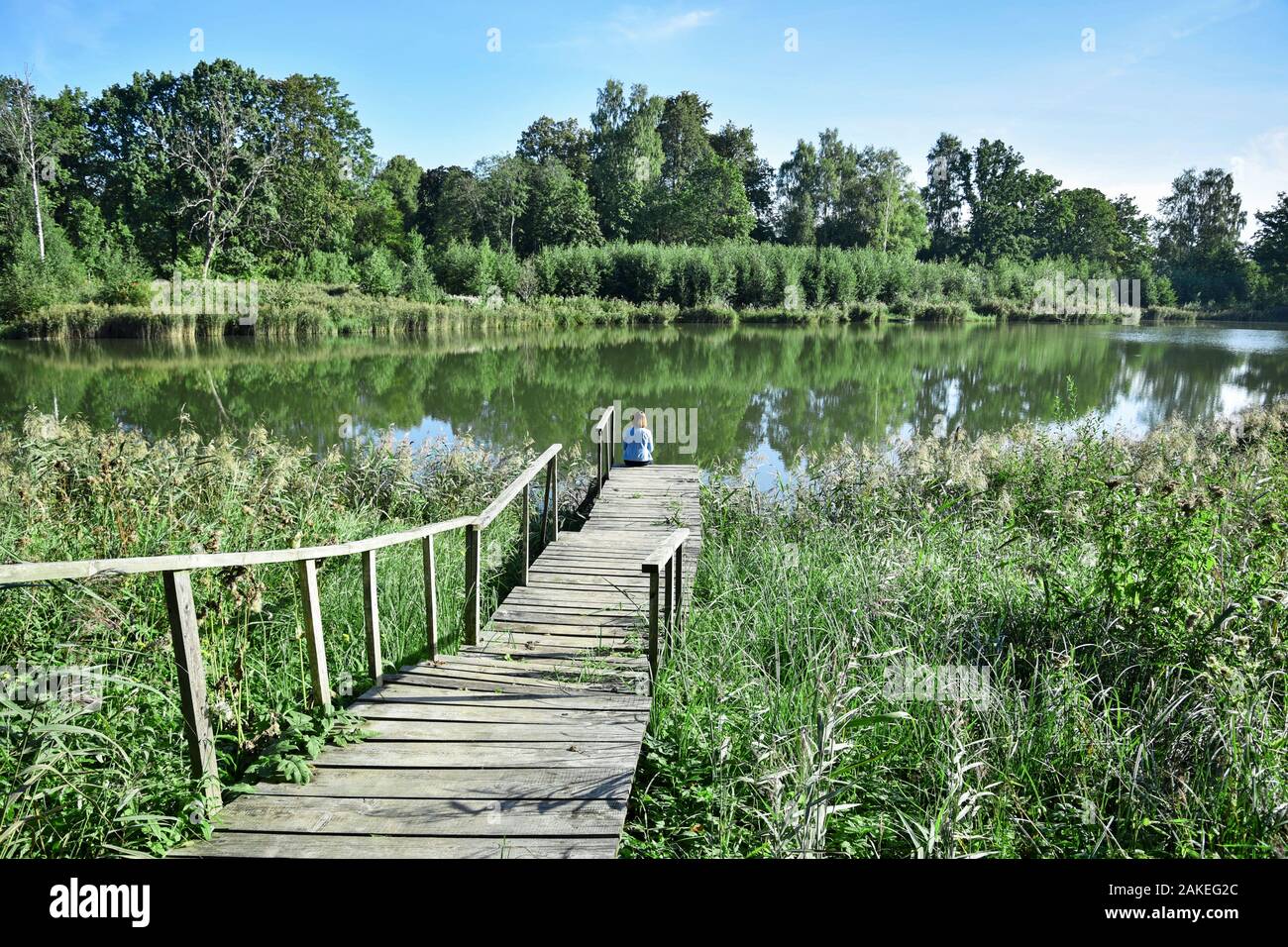Wooden path to the lake Stock Photo - Alamy