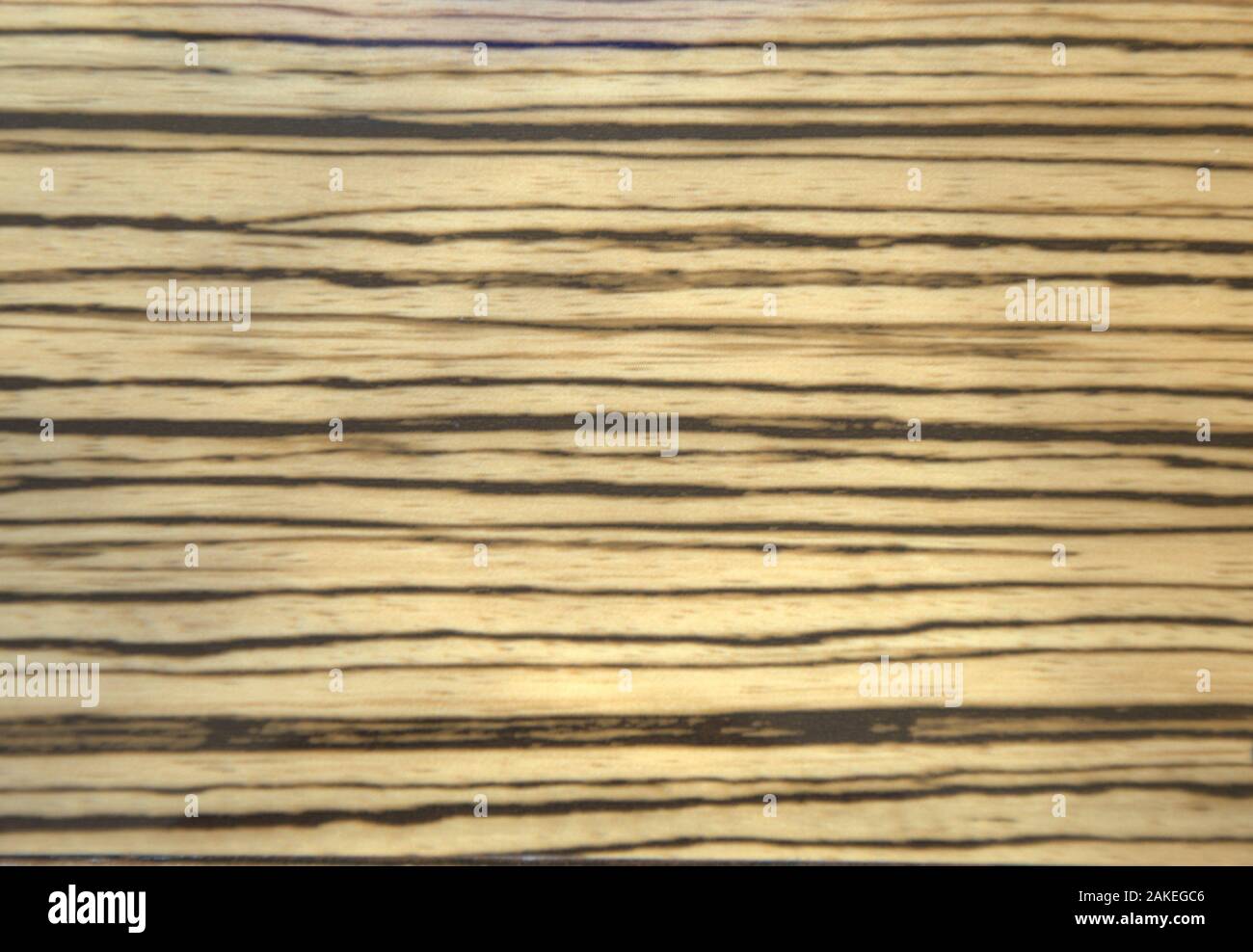 Dark oak zebrano texture of natural wood on a slice closeup. Background ...