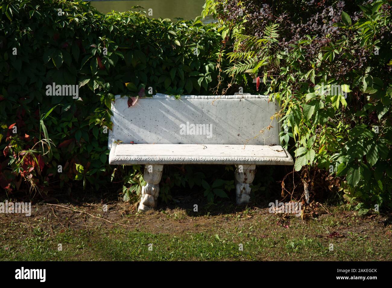Old fashioned white stone bench in backyard Stock Photo - Alamy