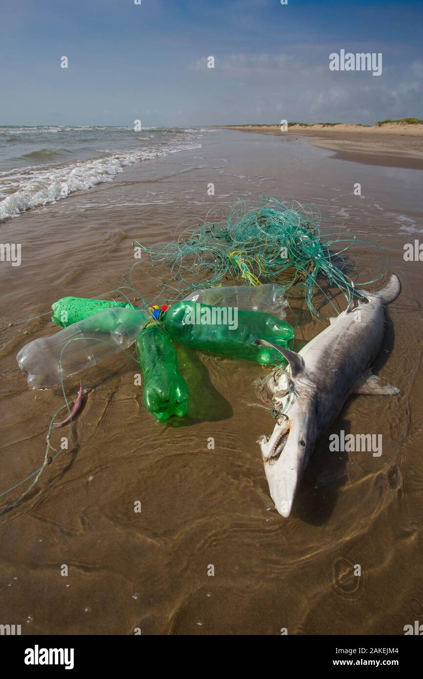 Long line fishing hi-res stock photography and images - Alamy