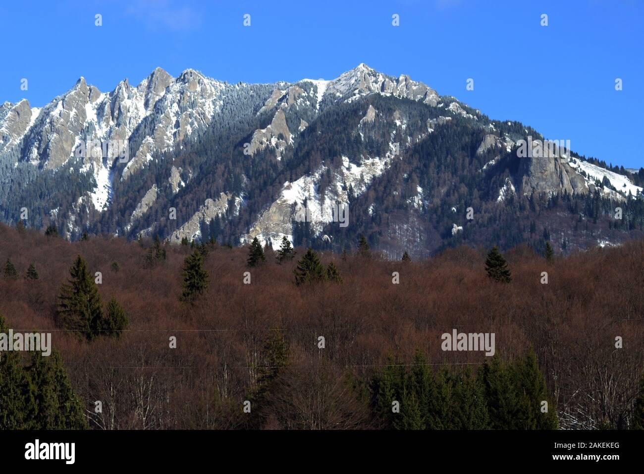 Ciucas mountains coniferous forests hi-res stock photography and images ...