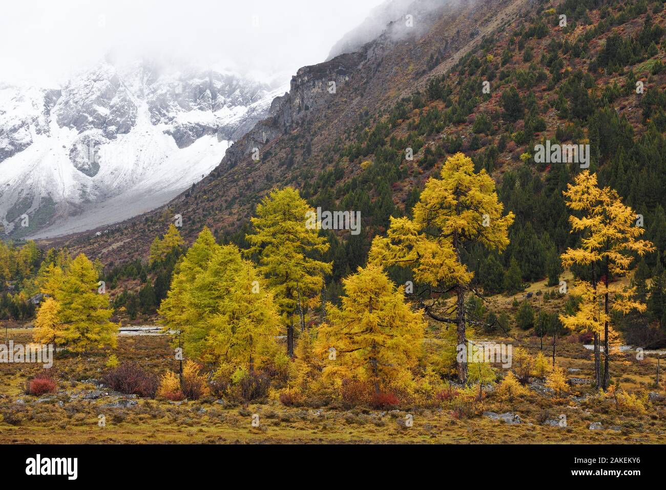 Baima snow mountain hi-res stock photography and images - Alamy