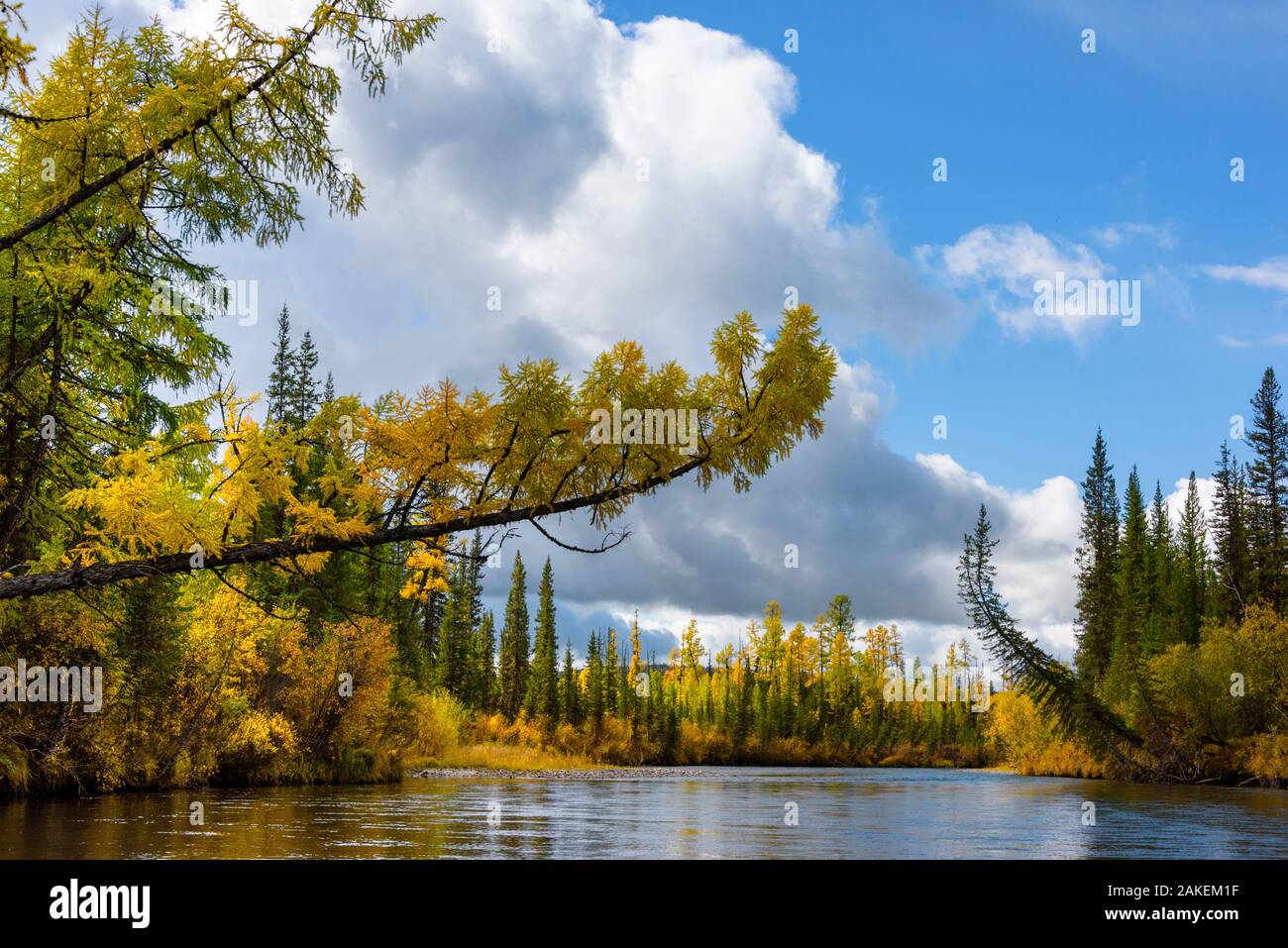 Lena river siberia hi-res stock photography and images - Alamy