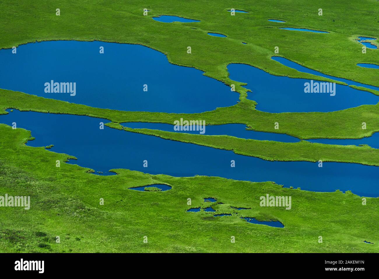 Aerial view of Pechora River Delta, Nenets Autonomous Okrug, Arctic ...