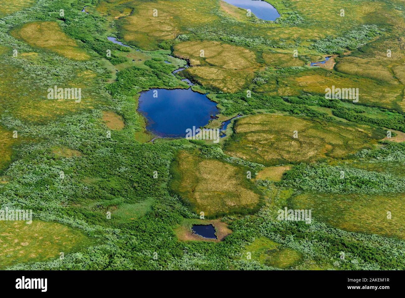 Aerial view of Pechora River Delta, Nenets Autonomous Okrug, Arctic ...