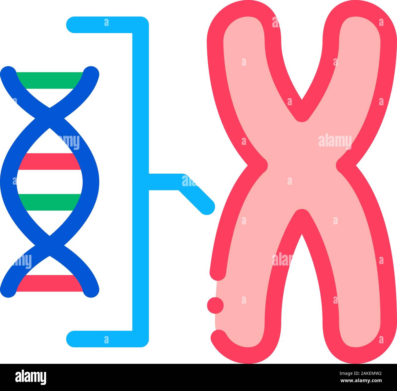 Chromosomes Clipart