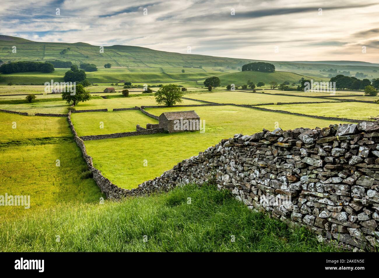 Dry-stone walls and barns in Wensleydale, Yorkshire Dales National Park ...