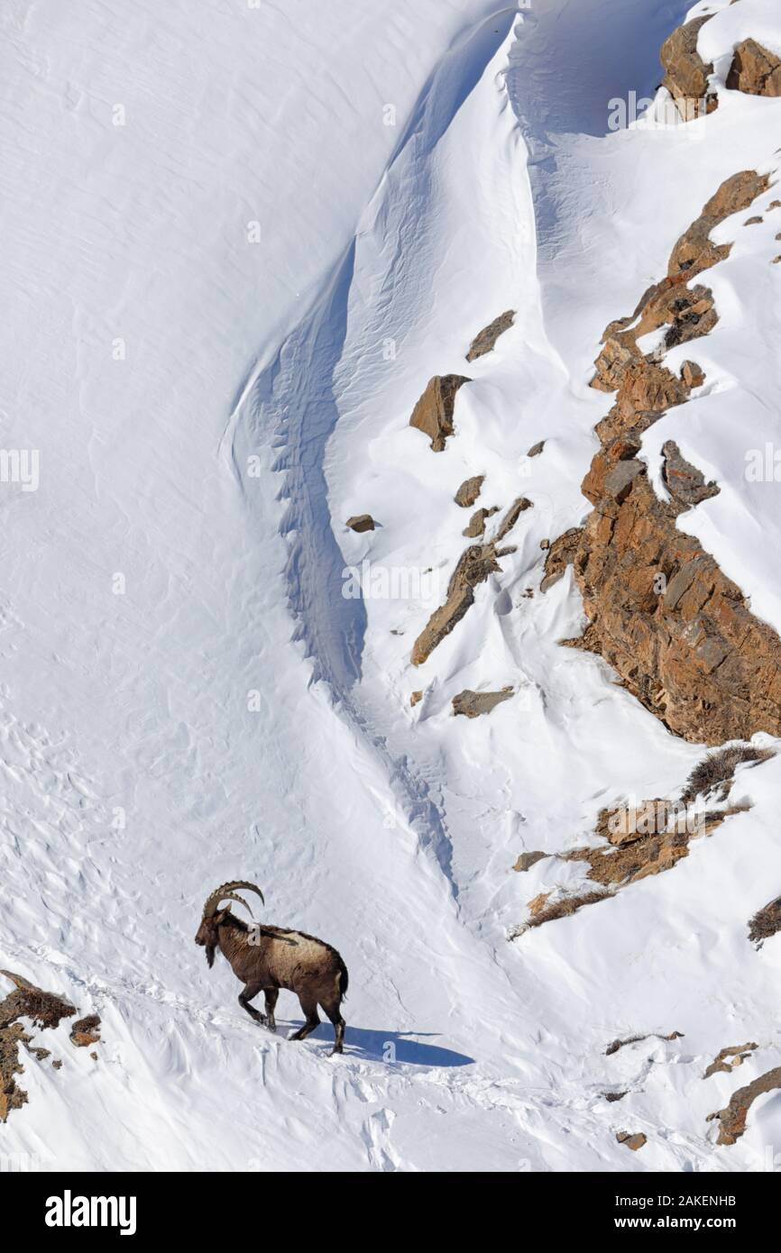 Cold Desert Biosphere Reserve High Resolution Stock Photography and ...