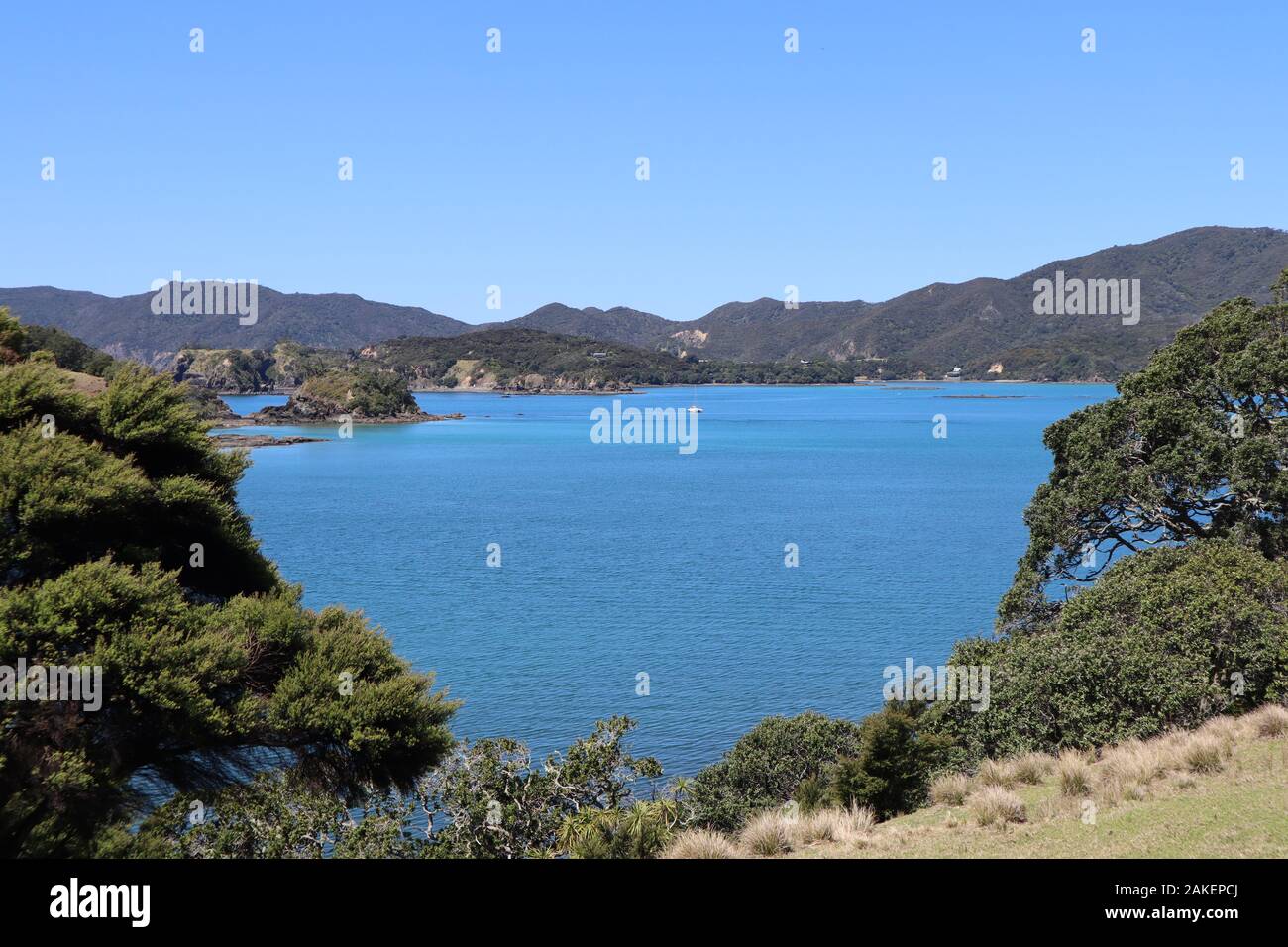 Paihia new zealand hi-res stock photography and images - Alamy