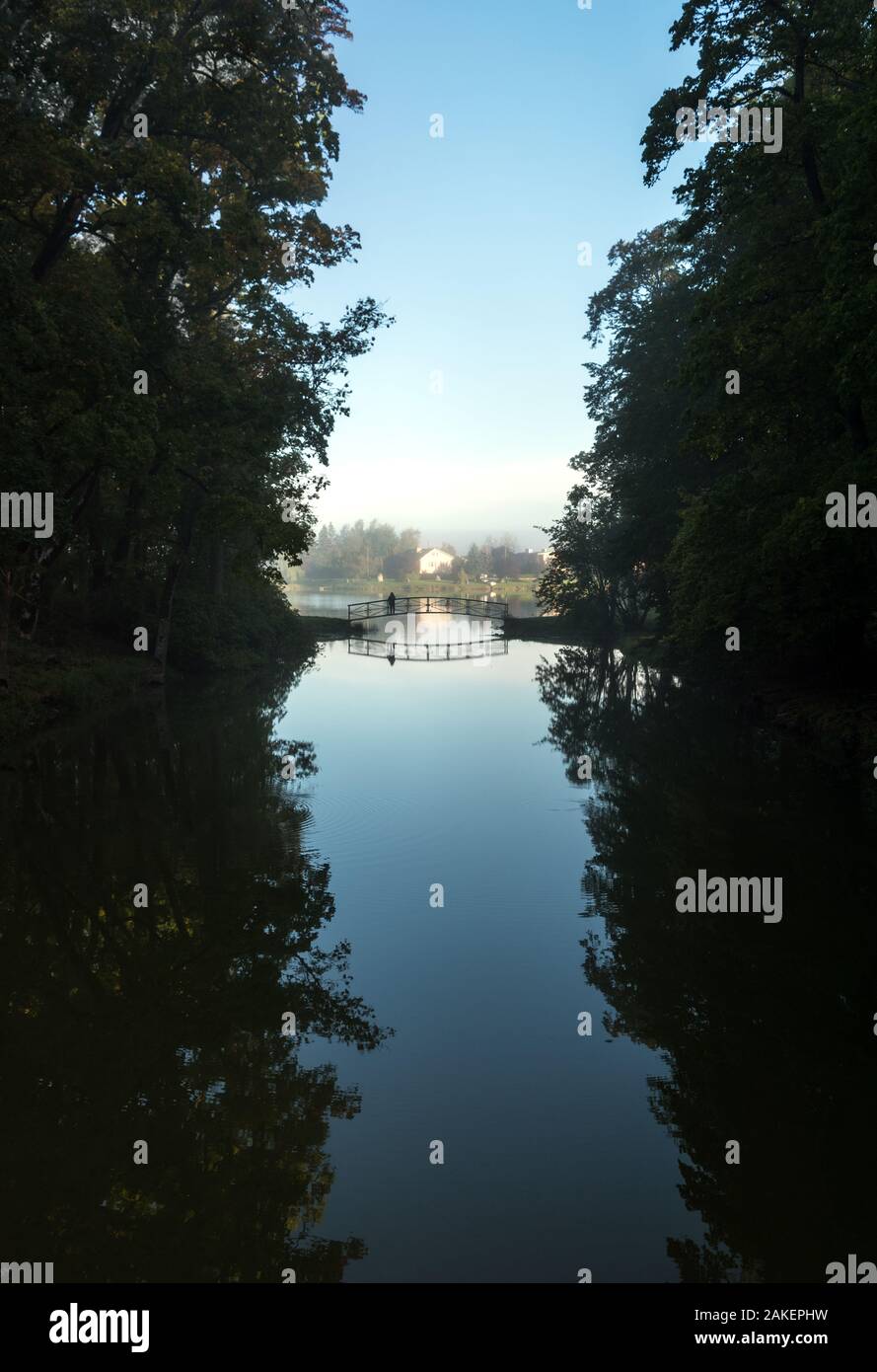 Small bridge on a lake in a mist morning Stock Photo - Alamy