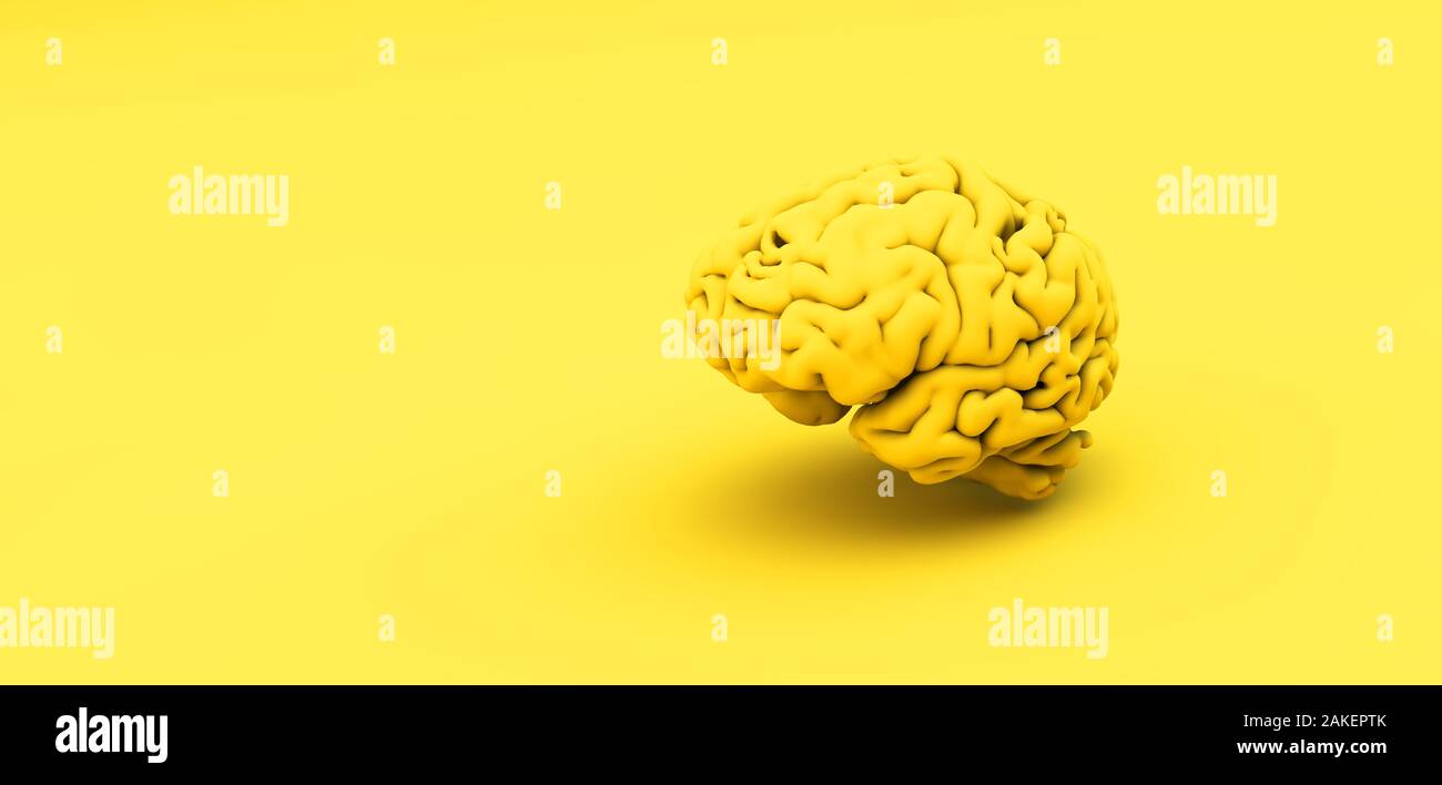 Human brain yellow light hi-res stock photography and images - Alamy