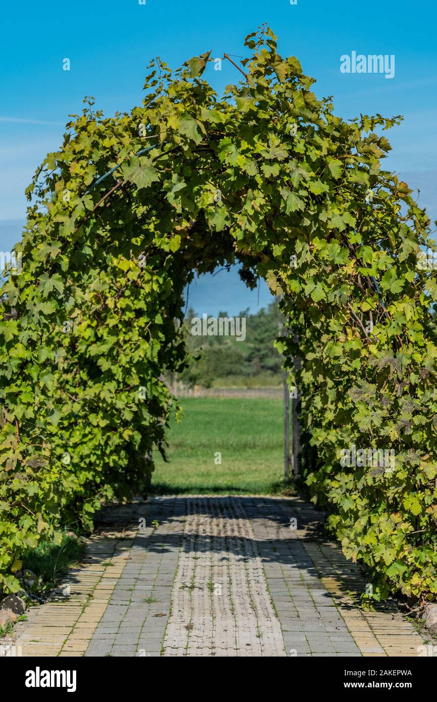 Garden path through arch way hi-res stock photography and images - Alamy