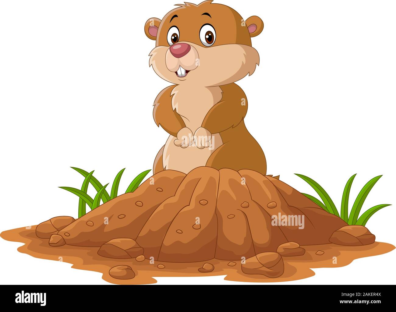 Cartoon funny groundhog standing outside its burrow Stock Vector Image ...