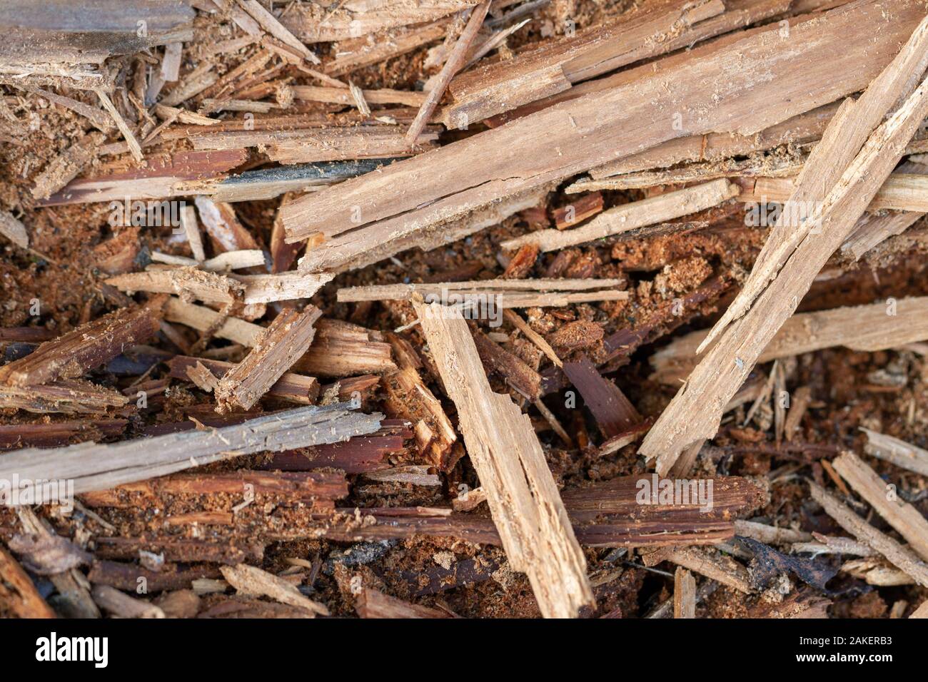 Surface of damaged wooden plank Stock Photo - Alamy