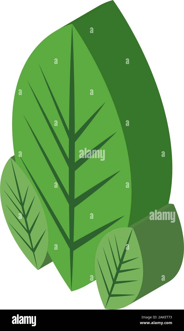 Isometric natural leaf design of Floral nature plant garden ornament ...