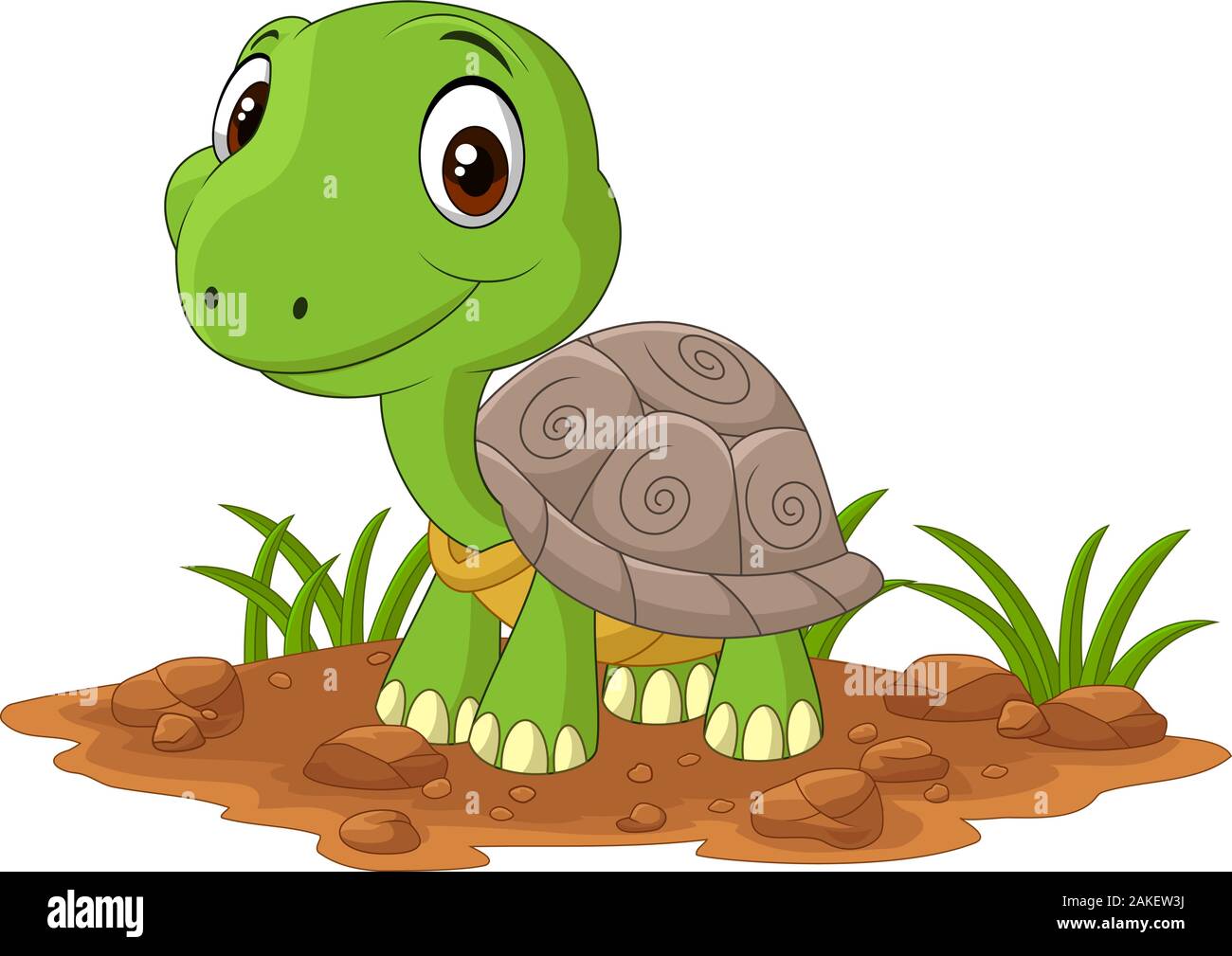 Fun turtle cartoon character in Cut Out Stock Images & Pictures - Alamy