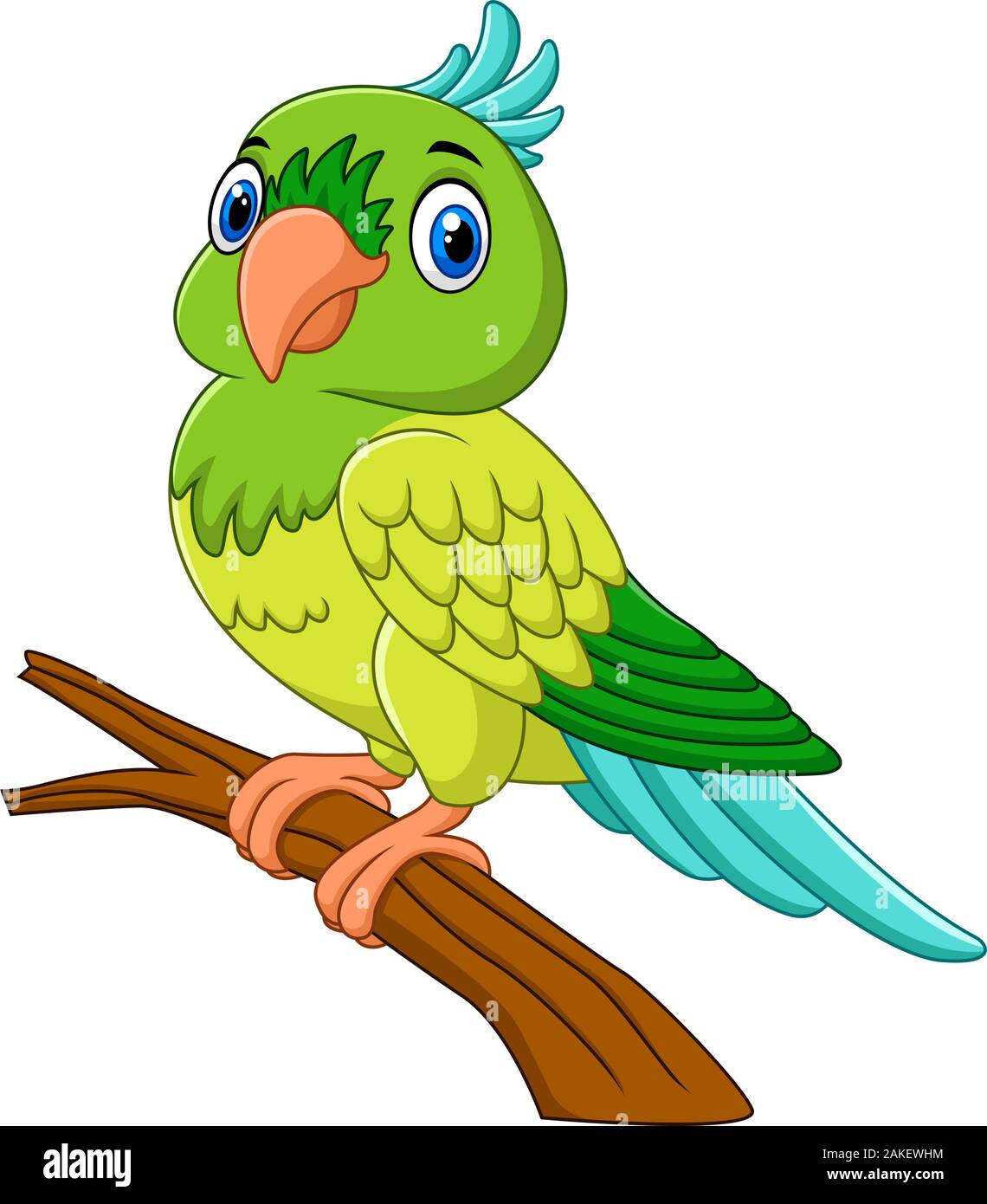 Cartoon parrot on tree branch Stock Vector Image & Art - Alamy