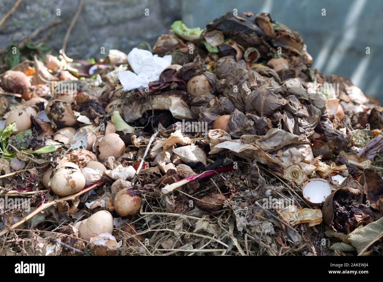 Teabags and eggshell compost heap Stock Photo - Alamy
