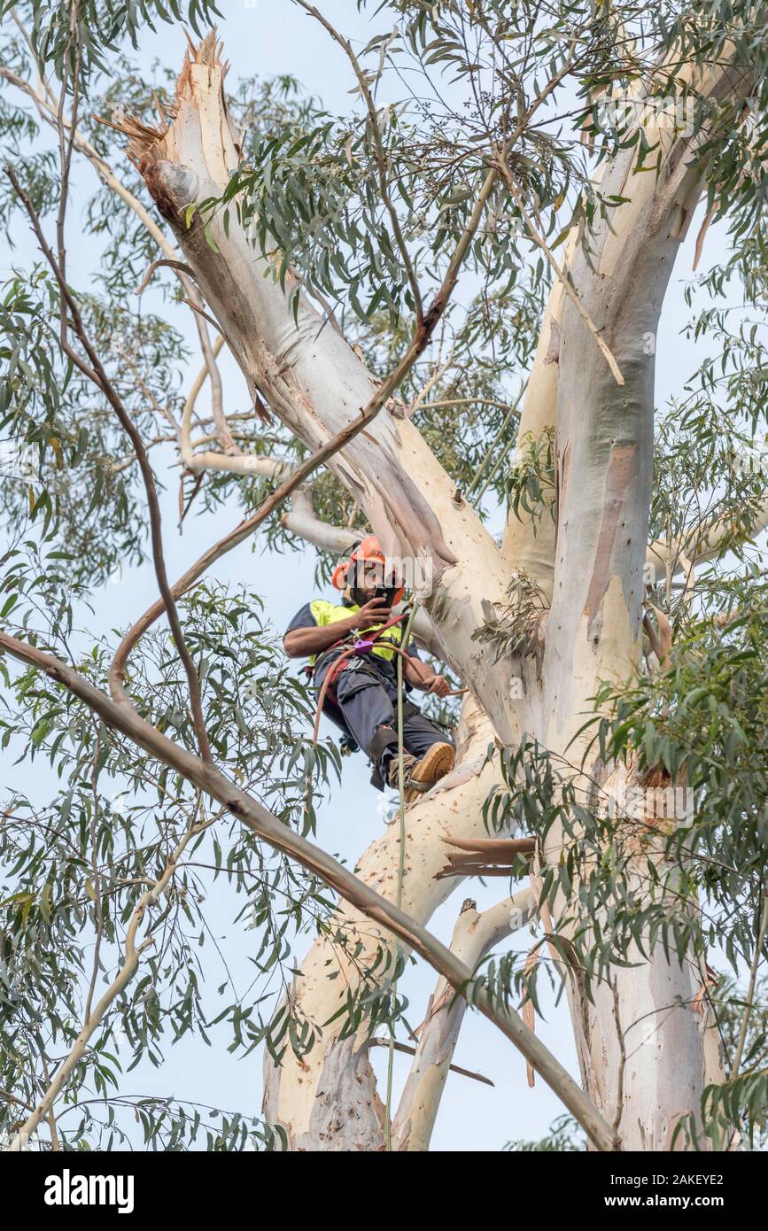 Sydney Aust Nov 26 2019: A sudden storm ripped through suburbs in ...