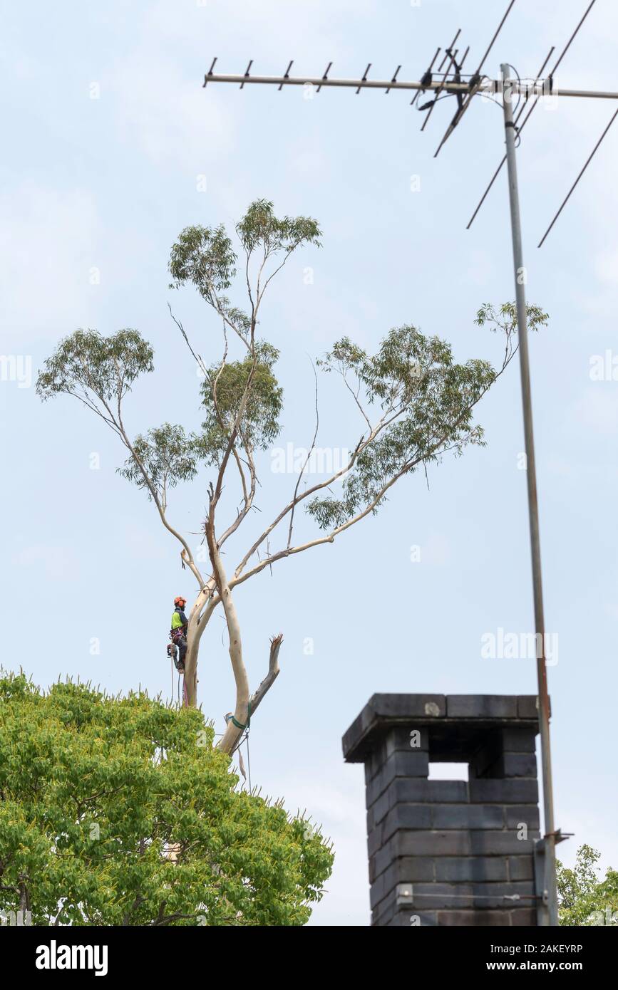 Sydney Aust Nov 26 2019: A sudden storm ripped through suburbs in ...