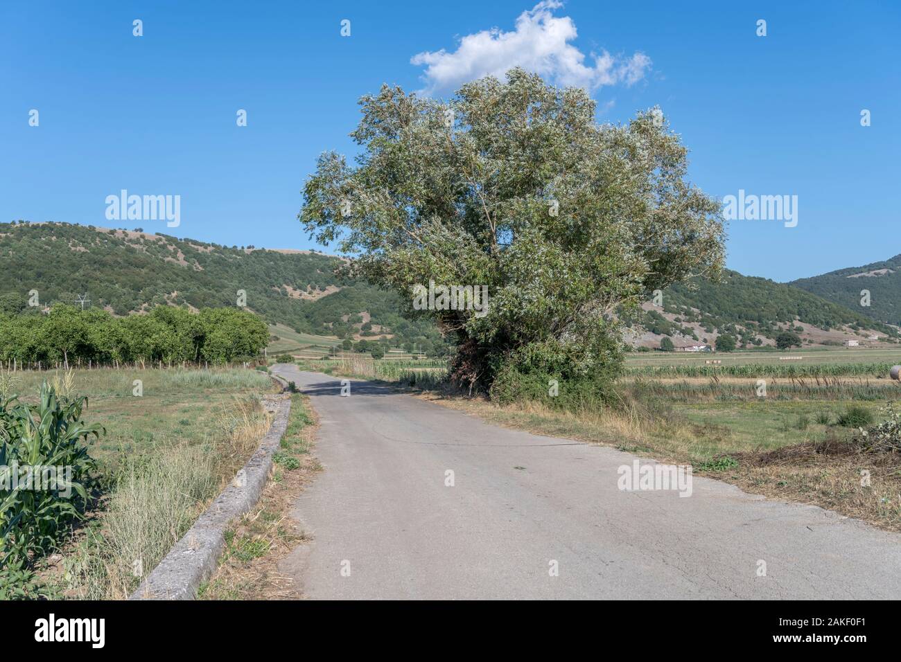 Montesano hi-res stock photography and images - Alamy