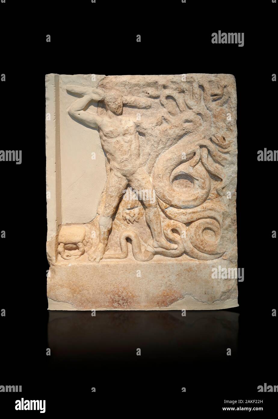 Hydra mythology hi-res stock photography and images - Alamy
