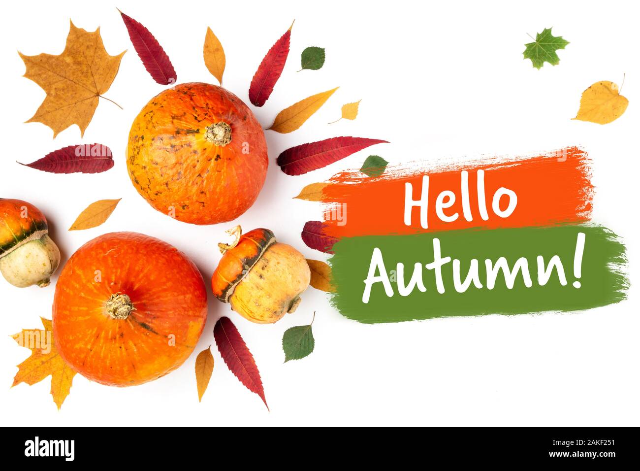 Hello pumpkins hi-res stock photography and images - Alamy