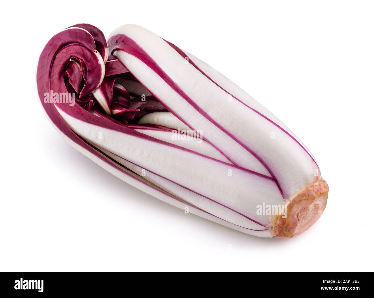 Radicchio, red Treviso chicory isolated on white Stock Photo - Alamy