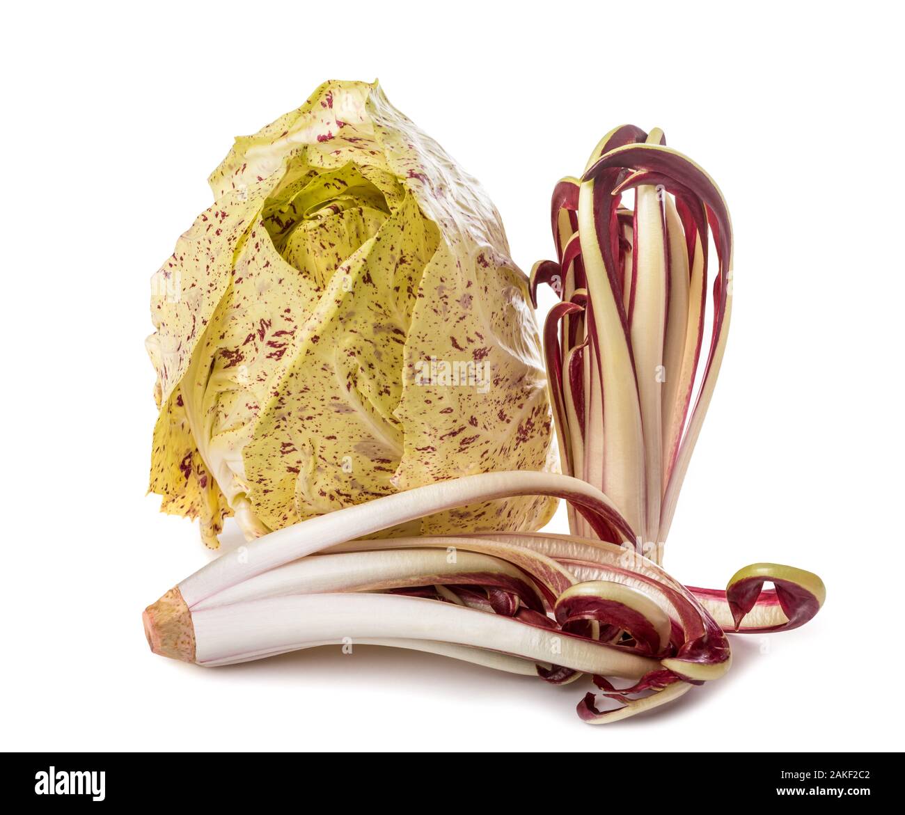 Red and variegated chicory isolated on white background Stock Photo - Alamy