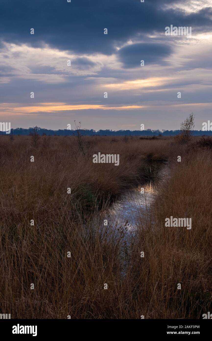 Whixall nature reserve hi-res stock photography and images - Alamy