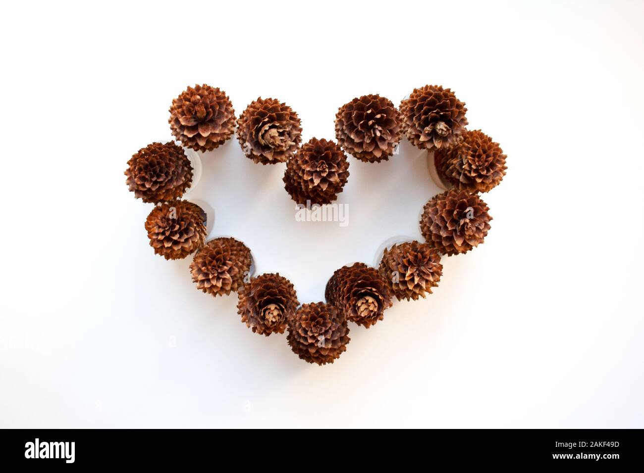 Pine cones heart shaped composition isolated on white background Stock ...