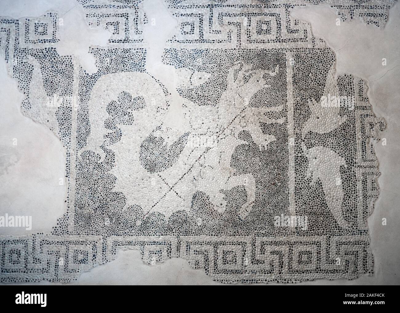 PAPHOS, CYPRUS - JUNE 08, 2018: Scylla pebble mosaic floor representing ...