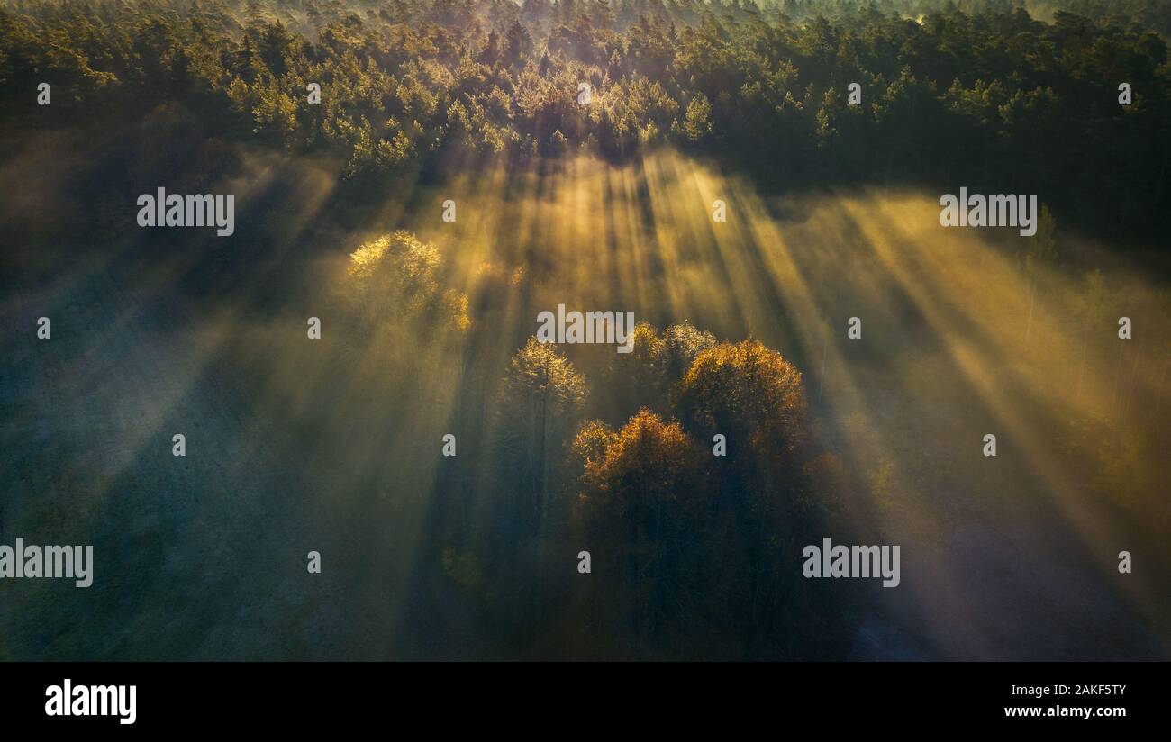 Aerial view of epic light rays over the forest at Autumn Stock Photo ...
