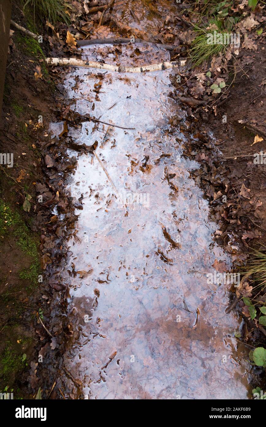 Water pool / pond / slow flowing stream polluted with surface ...