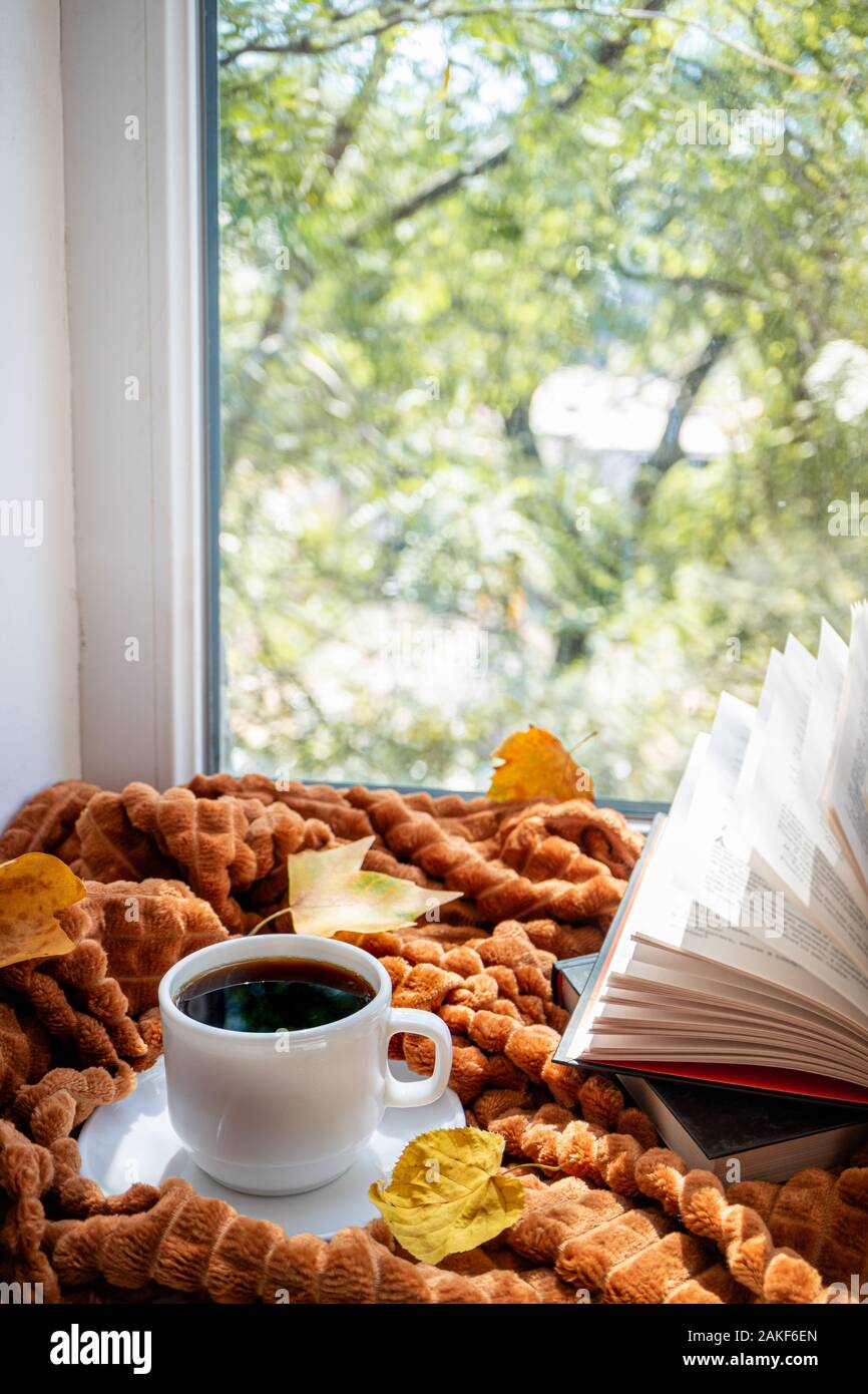 Coffee cup, open books, warm plaid and autumnal leaves on a window sill ...