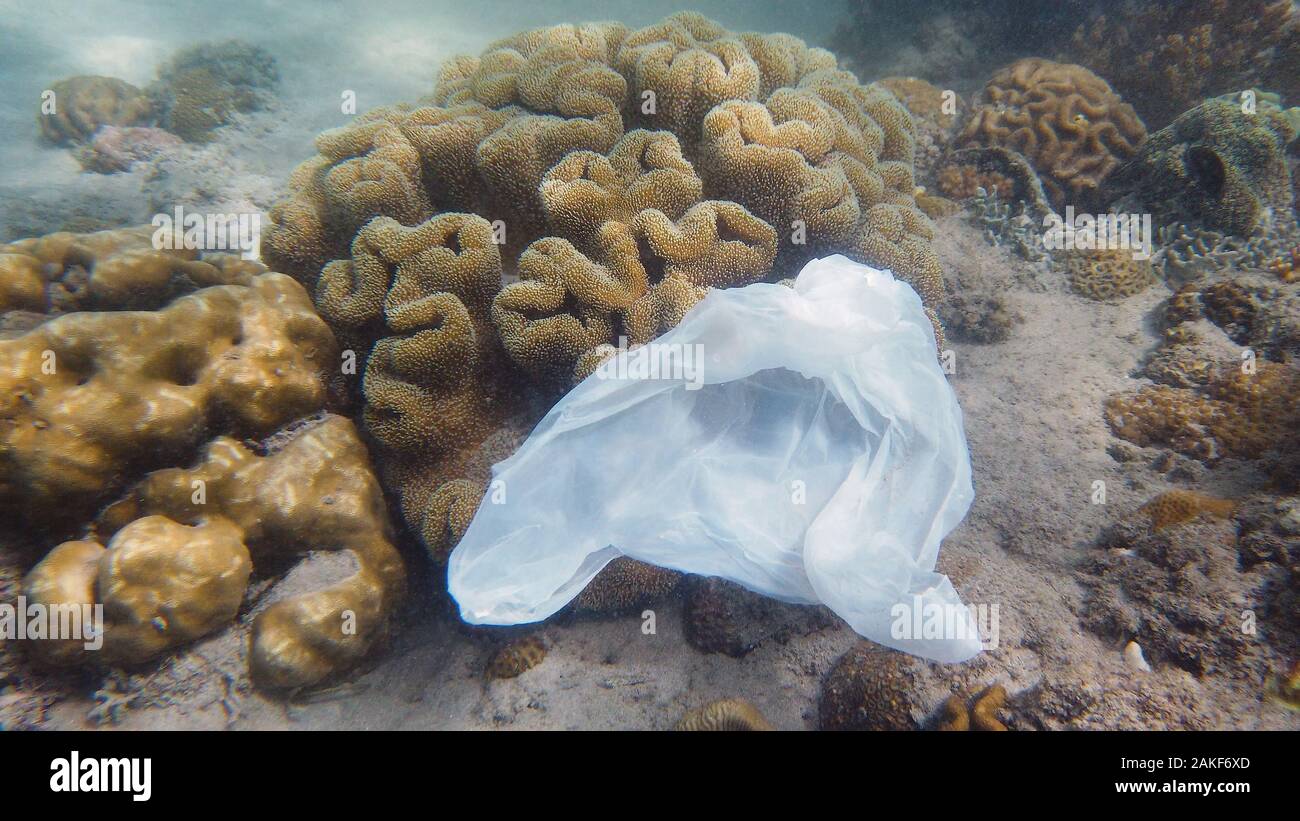 Environmental Problem - plastic trash on a coral reef. A plastic bag on ...