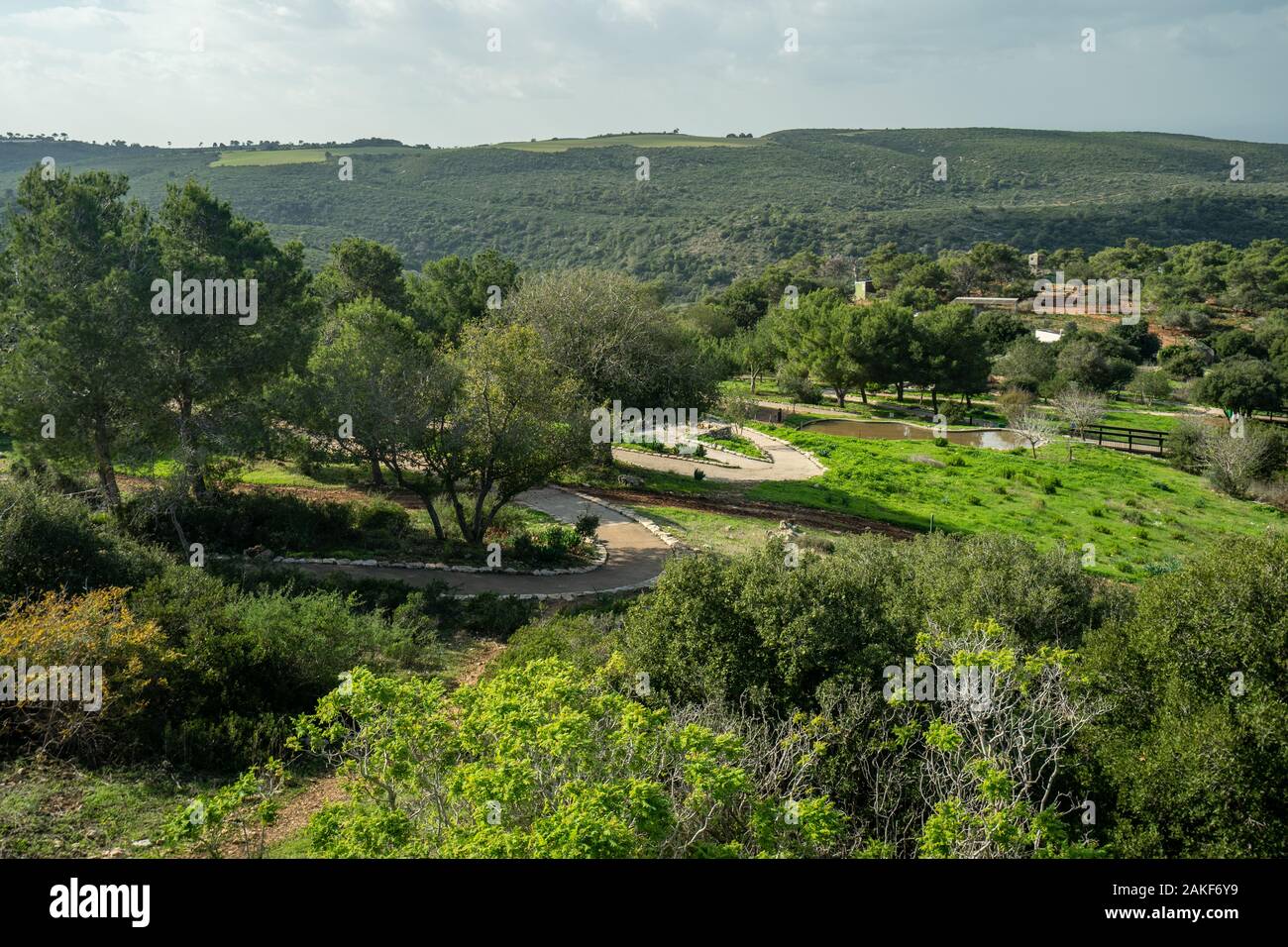 lush green landscape in the Carmel Mountain range, Israel Stock Photo ...