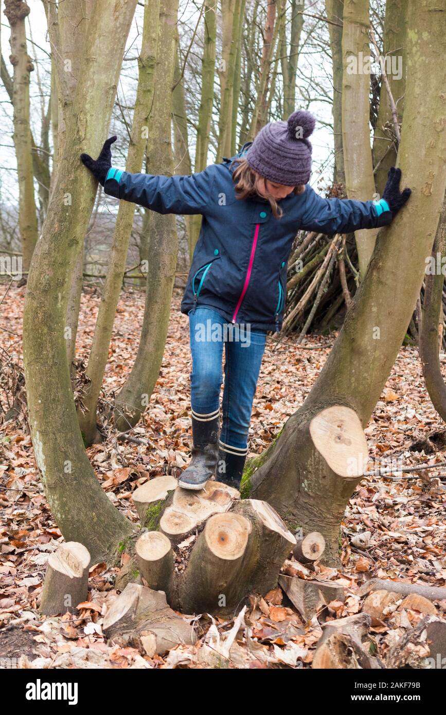 Children climb in trees uk hi-res stock photography and images - Alamy