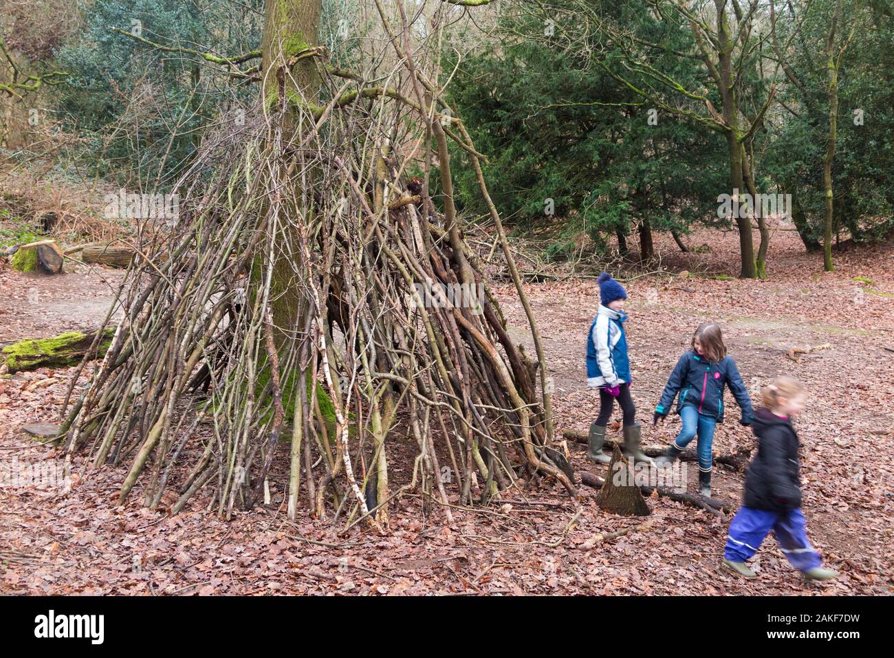 Three / kids / kid / children & a wigwam stack of trees branches leant ...