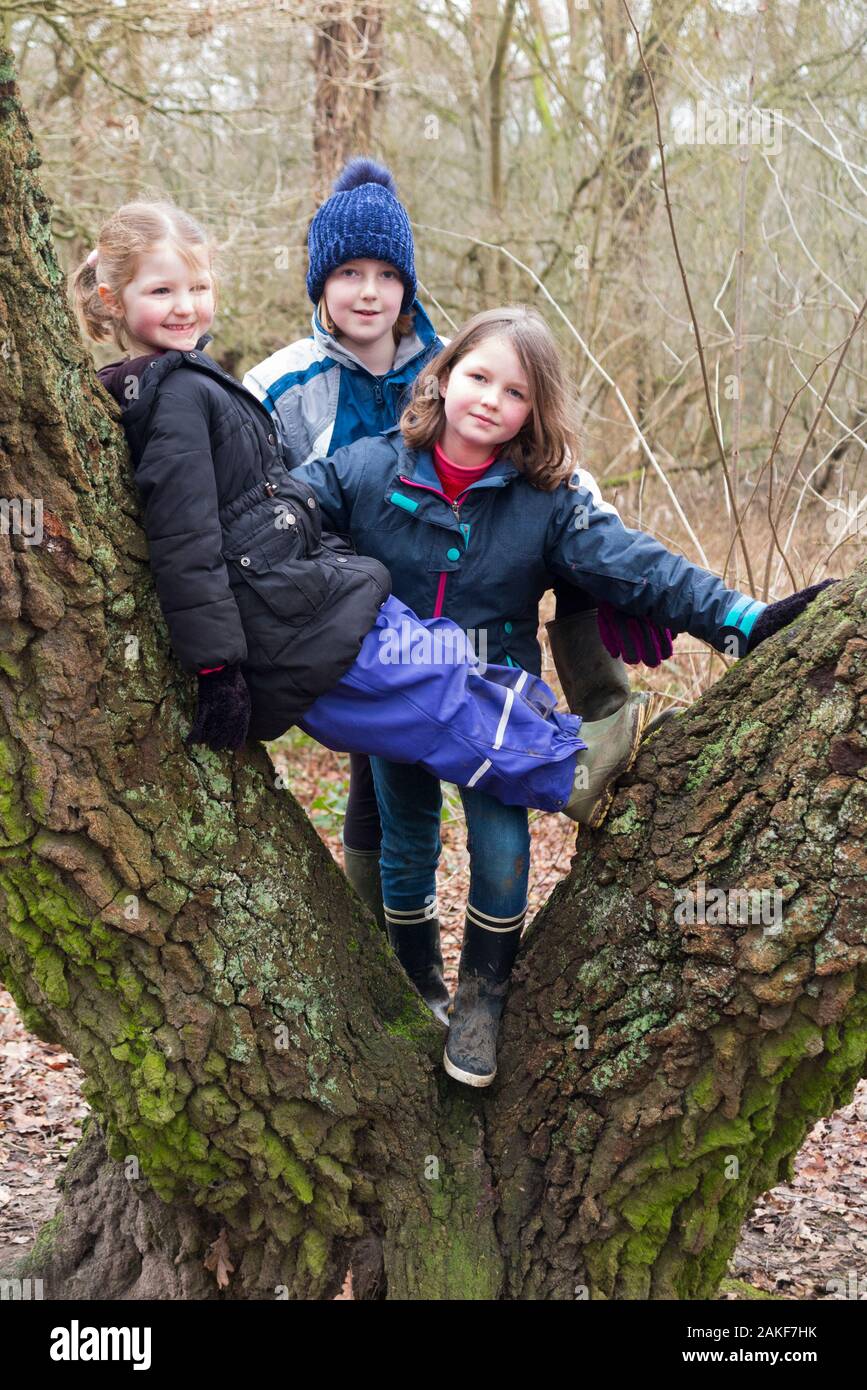 Children / kids / kid / girls climb in low trees branches as part of ...