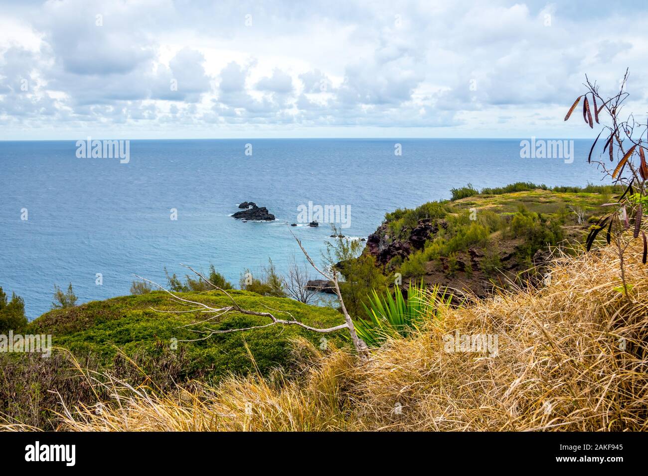 A gorgeous view of the natural landscape in Maui, Hawaii Stock Photo ...