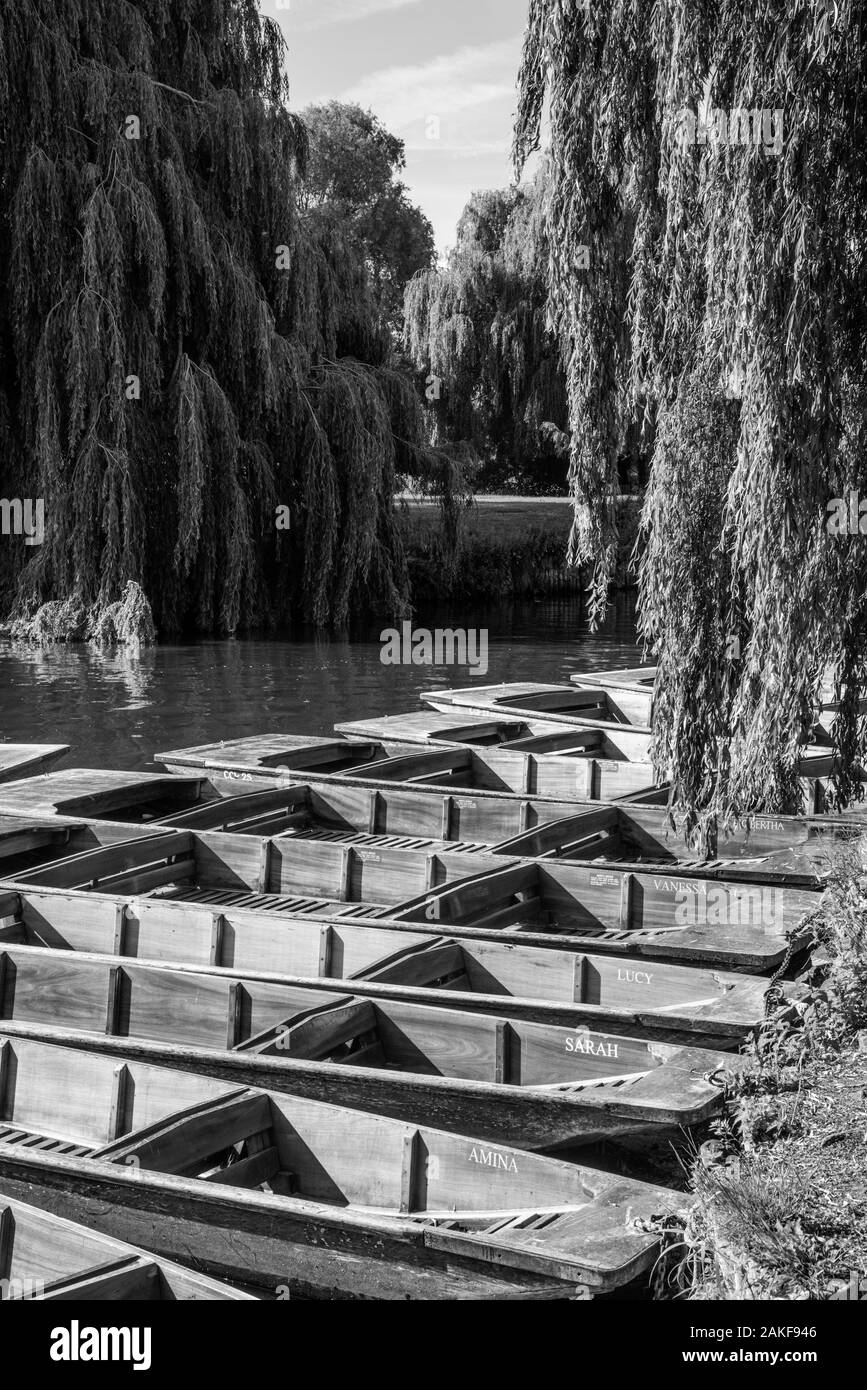 English punt Black and White Stock Photos & Images - Alamy