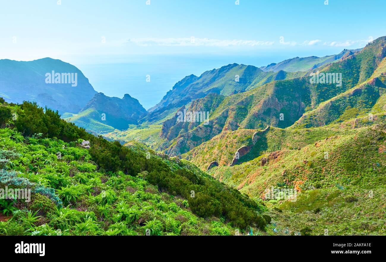 Green mountains in Tenerife, The Canary Islands, Spain Stock Photo - Alamy