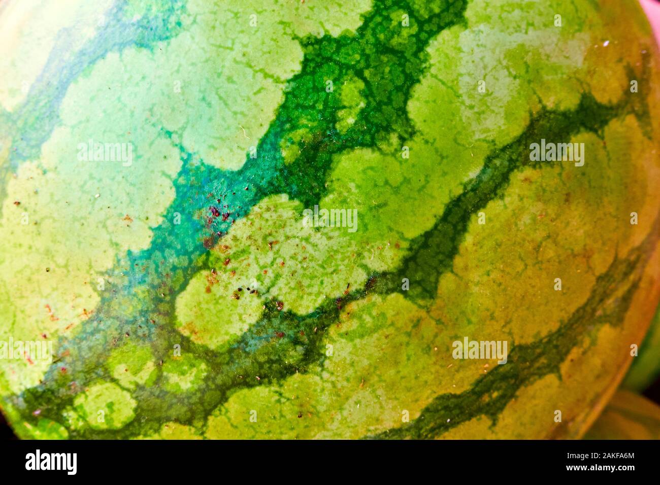 Watermelon Skin Texture Map