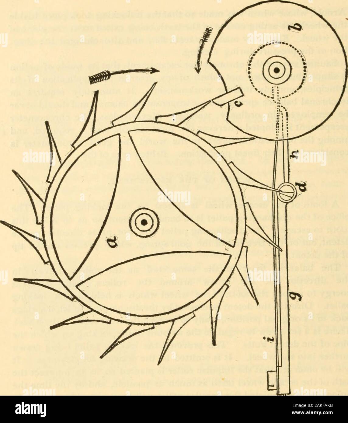 Balancespring hi-res stock photography and images - Alamy