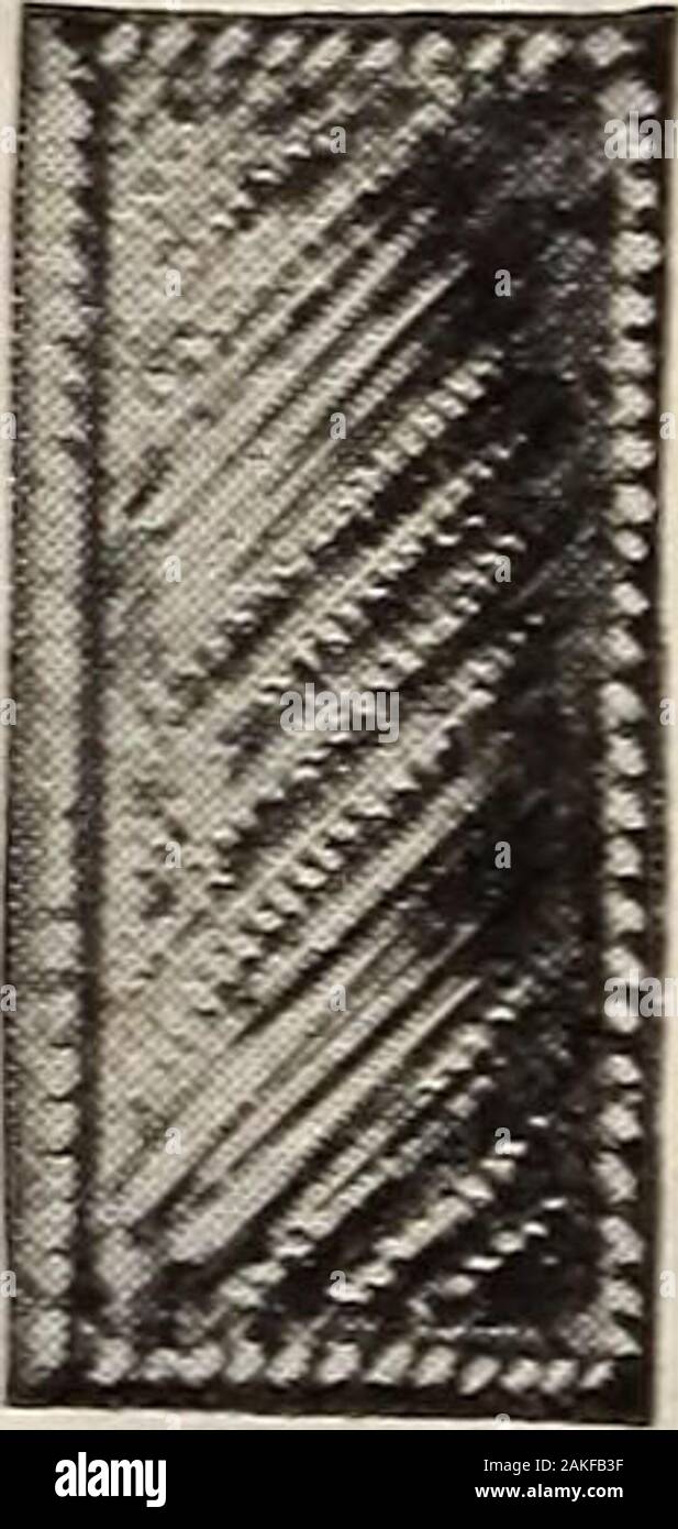 Field artilleryman's guide; . CAPTAIN—Two silver bars, each one-quarter ...